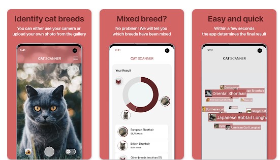 9 Aplikasi Terbaik Untuk Kucing di Android